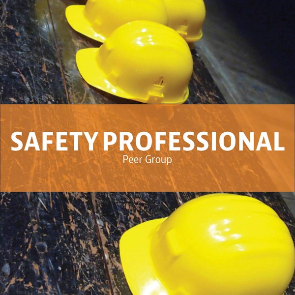 Safety Peer Group 2023